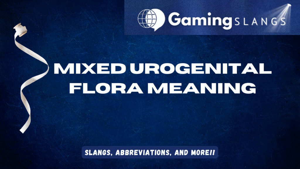 Como Chingas Meaning in English - Gaming Slangs